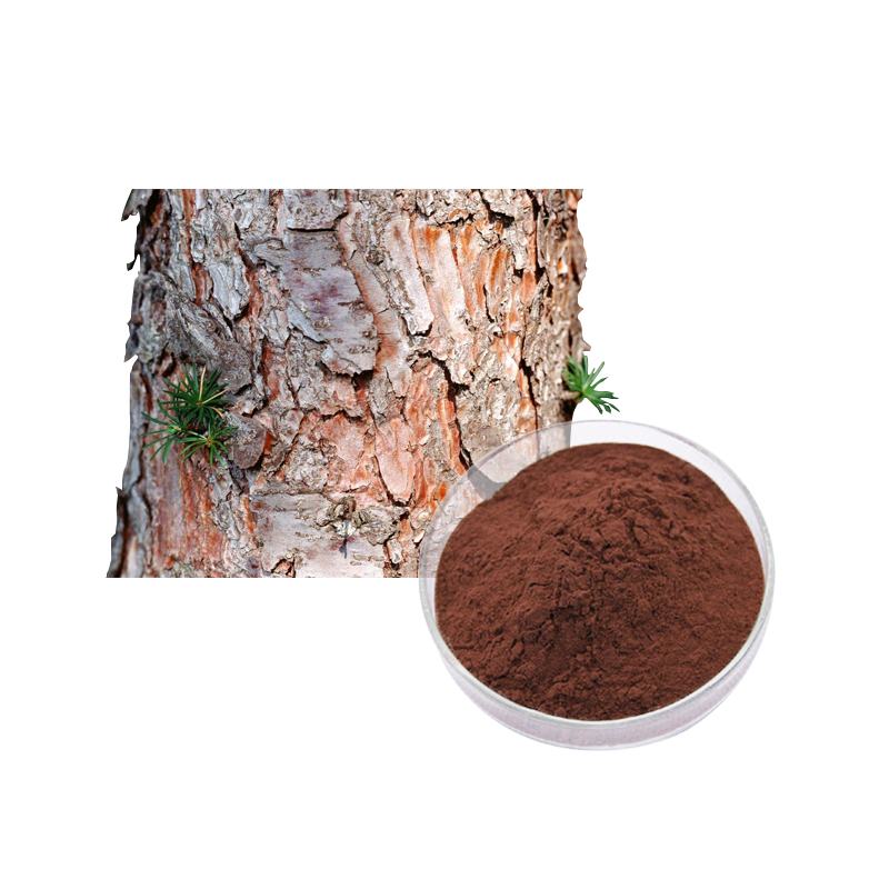 China Pine Bark Extract factory and manufacturers | Ruiwo