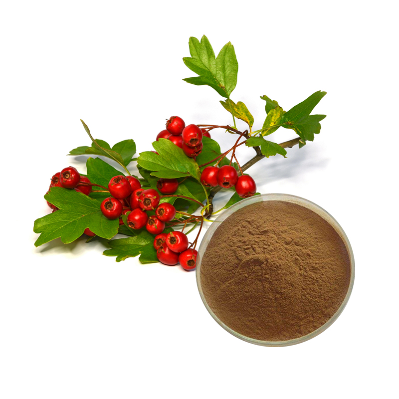 China Hawthorn Leaf Extract factory and manufacturers | Ruiwo