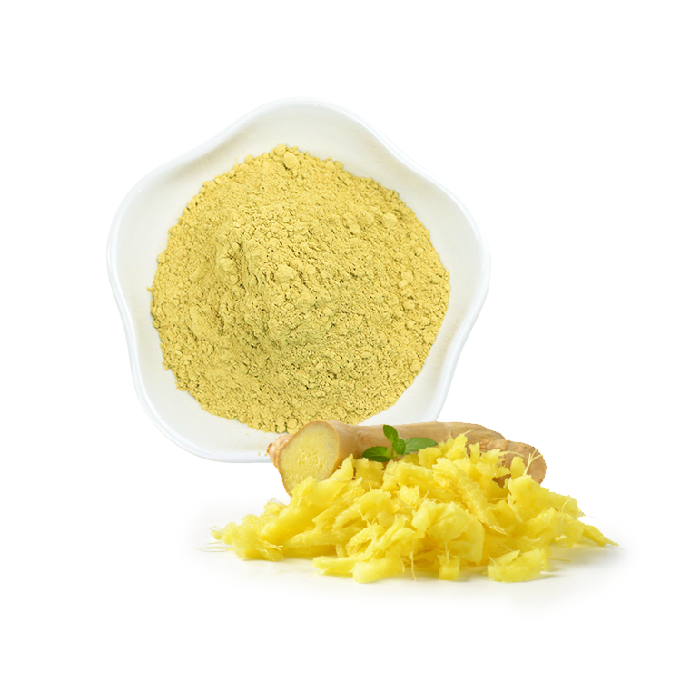 China FACTORY OFFER 100% NATURAL GINGER EXTRACT, GINGER ROOT EXTRACT ...