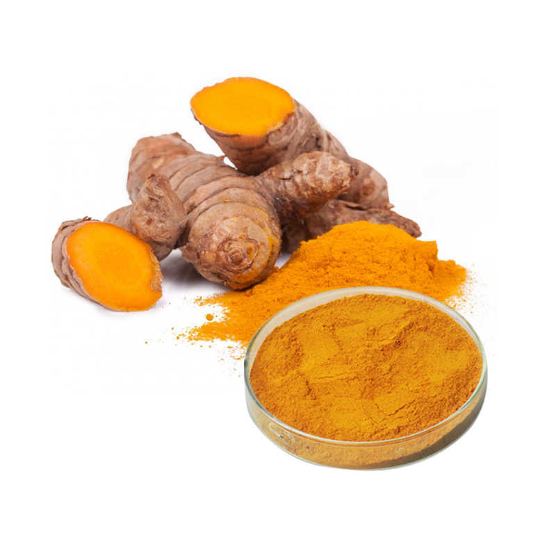 China FACTORY SUPPLY PURE NATURAL TURMERIC EXTRACT, CURCUMIN 90% ...