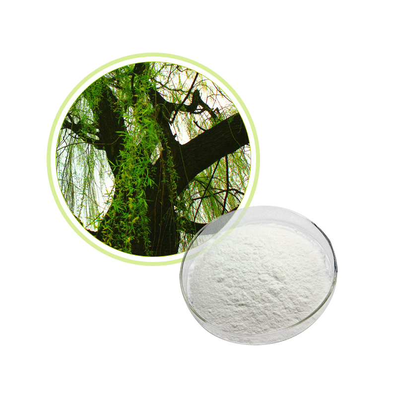 China White Willow Bark Extract factory and manufacturers | Ruiwo